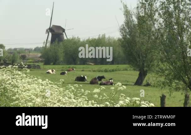 Windmill drainage Stock Videos & Footage - HD and 4K Video Clips - Alamy