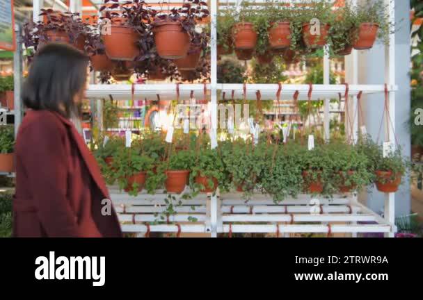 Woman Shopping In Plant Store Choosing Indoor Plant Pot For Interior ...