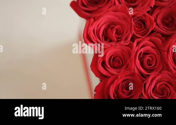 Vintage card roses Stock Videos & Footage - HD and 4K Video Clips - Alamy