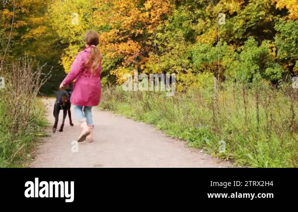 girl walking with her dog in forest Stock Video Footage - Alamy