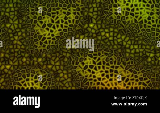 Motion Graphics And Animated Background Of Random Shaped Organic Blobs