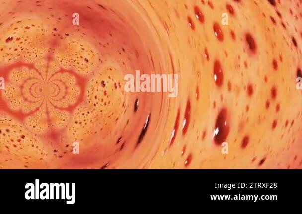 Evolution round Stock Videos & Footage - HD and 4K Video Clips - Alamy