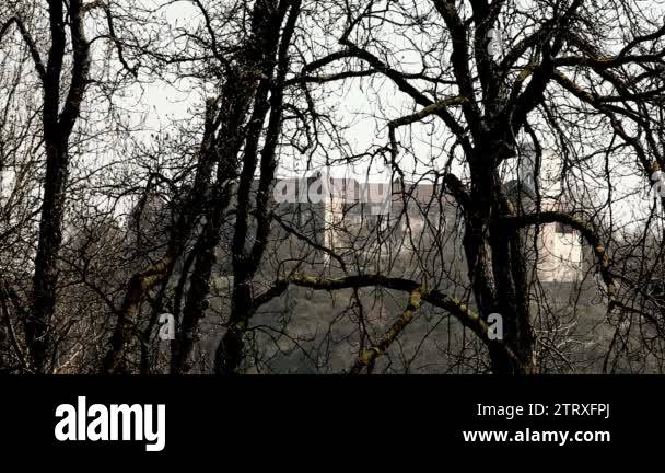 Castle behind tree branches Stock Videos & Footage - HD and 4K Video ...