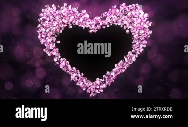 Pink Rose Sakura Flower Petals In Heart Shape Alpha Matte Loop ...