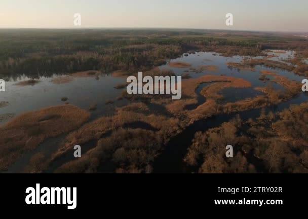 Drone flying backwards over forest land covered with high water at ...