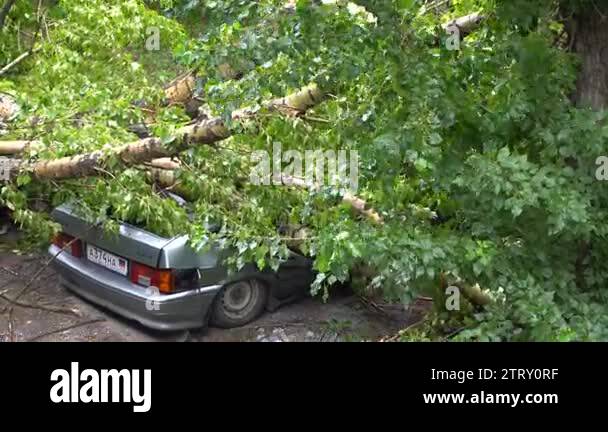 Harry potter vehicle Stock Videos & Footage - HD and 4K Video Clips - Alamy