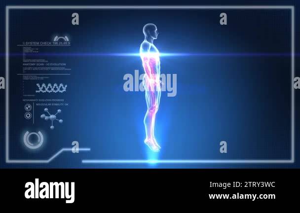 Rotating Human Body Bone scan on digital screen - Animation LOOP Stock ...