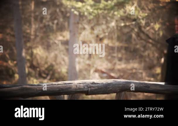 Zoomed shot Stock Videos & Footage - HD and 4K Video Clips - Alamy