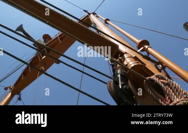 Vessel elements Stock Videos & Footage - HD and 4K Video Clips - Alamy