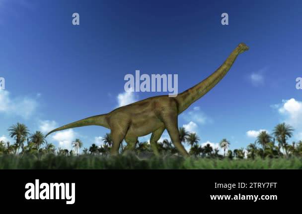 Brachiosaurus tree Stock Videos & Footage - HD and 4K Video Clips - Alamy