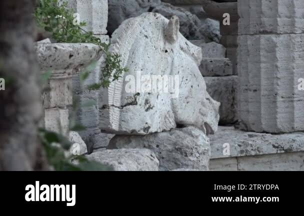 There the columns of the Parthenon, the metaphors of the Parthenon, the ...