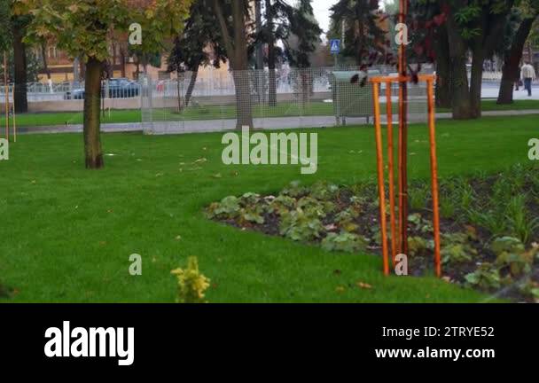 Garden irrigation sprinkler watering lawn in the park near walkway ...