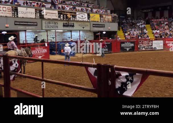 Cowboy roping calf in rodeo Stock Videos & Footage - HD and 4K Video ...