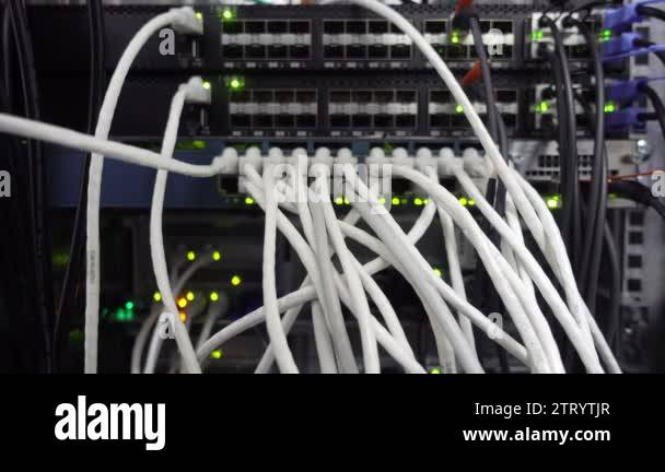 UTP cables are connected to a network switch. Network activity on ...