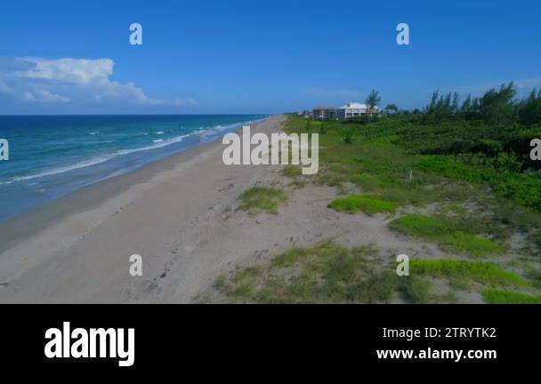 Stuart forrest Stock Videos & Footage - HD and 4K Video Clips - Alamy