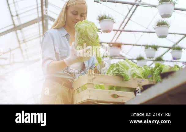Hard work growing plants Stock Videos & Footage - HD and 4K Video Clips ...