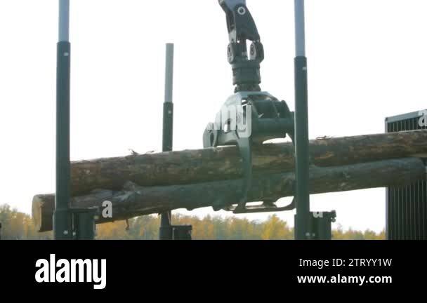 Log landing Stock Videos & Footage - HD and 4K Video Clips - Alamy