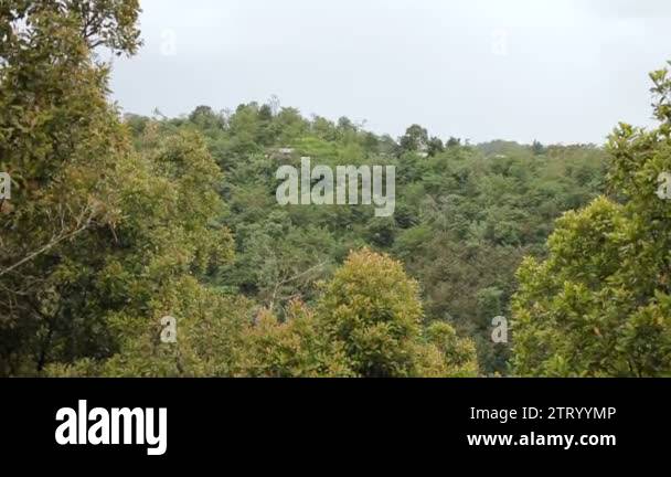 Winter in indonesia Stock Videos & Footage - HD and 4K Video Clips - Alamy