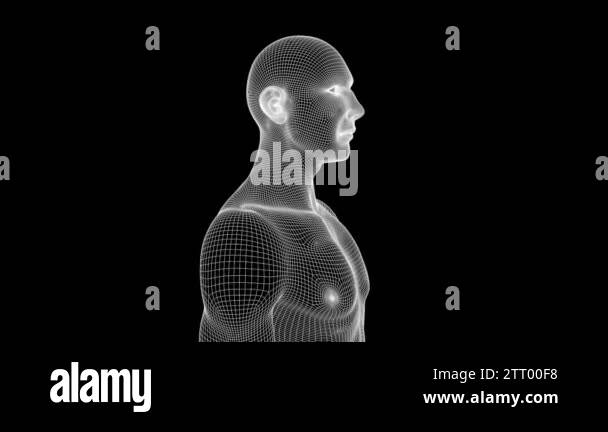 Human wireframe hologram Stock Videos & Footage - HD and 4K Video Clips ...