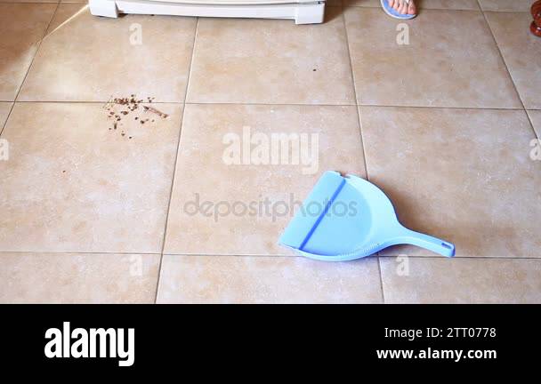 Leg sweep Stock Videos & Footage - HD and 4K Video Clips - Alamy
