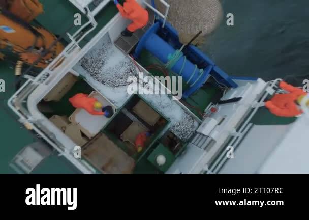 Zoom Out of a Commercial Fishing Ship where People processing the Fish ...