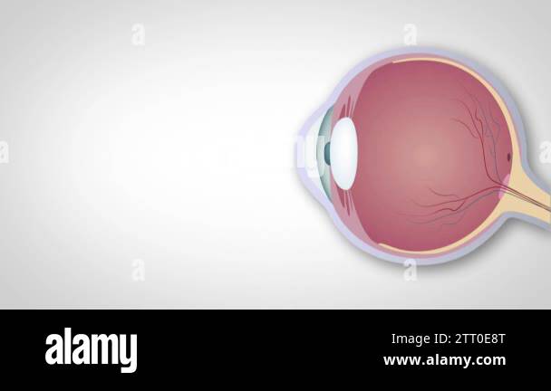 Astigmatism beam Stock Videos & Footage - HD and 4K Video Clips - Alamy