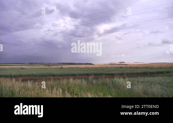 Landscape of huge field covered with dry green grass under gray sky ...
