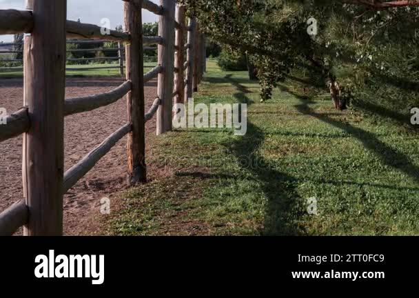 Horse farm breeding fence Stock Videos & Footage - HD and 4K Video ...