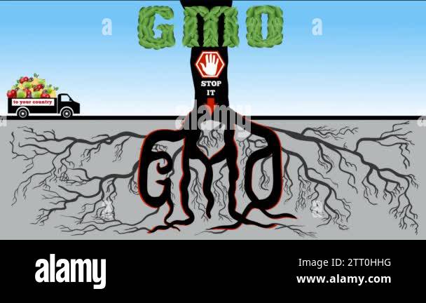 GMO. The poster (advertizing) devoted to a problem of genetically ...