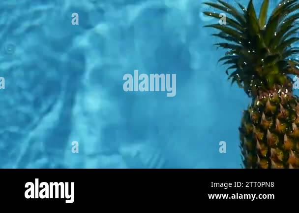 Pineapple Floating In blue Water In Swimming Pool. Healthy Raw Organic ...