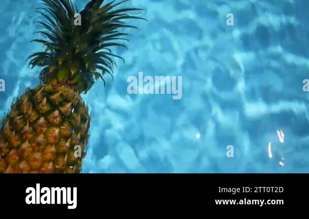 Pineapple Floating In blue Water In Swimming Pool. Healthy Raw Organic ...