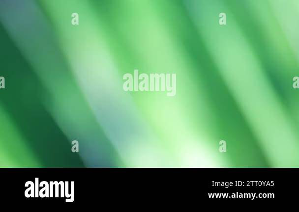 Abstract green decorative background Stock Videos & Footage - HD and 4K ...