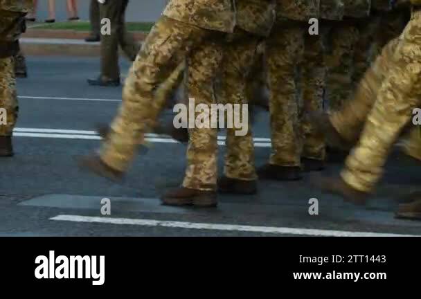Army uniform camo Stock Videos & Footage - HD and 4K Video Clips - Alamy