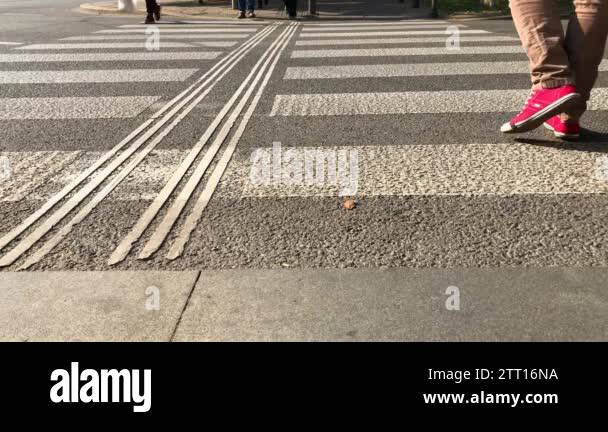 Pedestrian cross over road by zebra crossing in city. People step ...