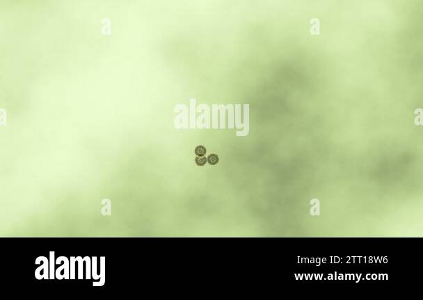 Microscope photosynthesis osmosis Stock Videos & Footage - HD and 4K ...