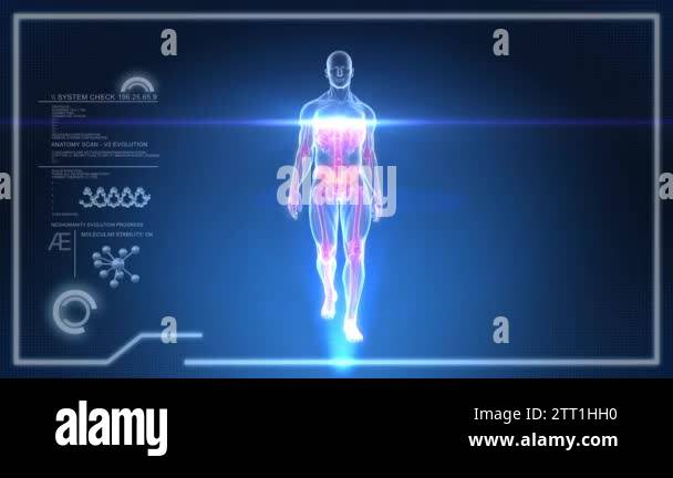 Virtual Human Body walking on a Touch Screen X-Ray Interface ...