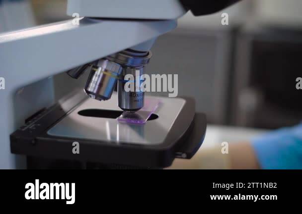 A close shot at a metal part of a laboratory microscope of a private ...