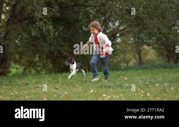 Dynamic walk Stock Videos & Footage - HD and 4K Video Clips - Alamy
