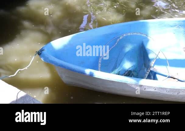 Fiber boat Stock Videos & Footage - HD and 4K Video Clips - Alamy