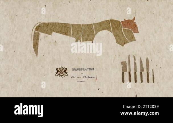 Map Of Cow Body Parts Anatomy for Cuisine Purposes Stock Video Footage ...