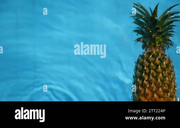 Pineapple Floating In blue Water In Swimming Pool. Healthy Raw Organic ...
