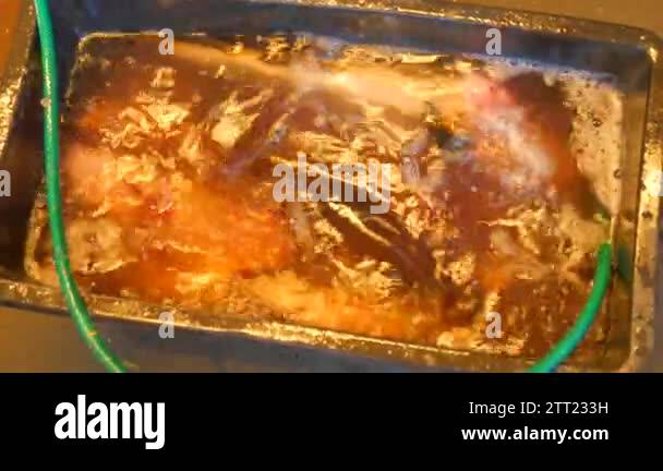 Male hands wrapping freshly killed cod fish into a plastic box with a ...