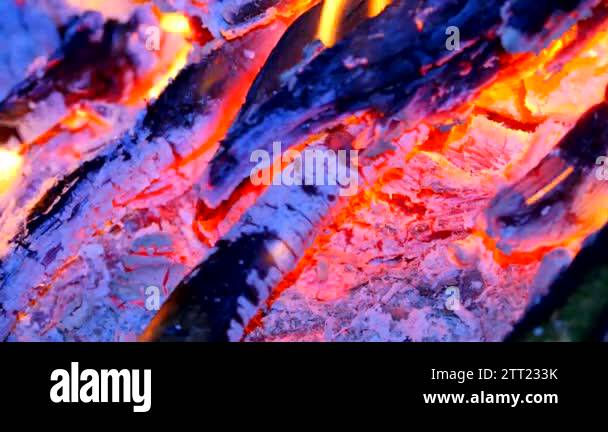 Detail of blue fire of burning hardwood. Burning woods in shiver hot ...