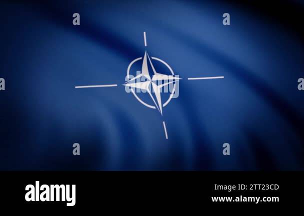 White nato flag Stock Videos & Footage - HD and 4K Video Clips - Alamy