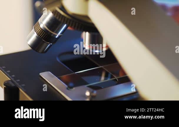 Scientist examining samples microscope Stock Videos & Footage - HD and ...