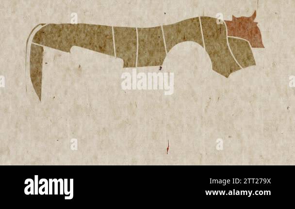 Cow Body Parts Anatomy Diagrams Stock Video Footage - Alamy