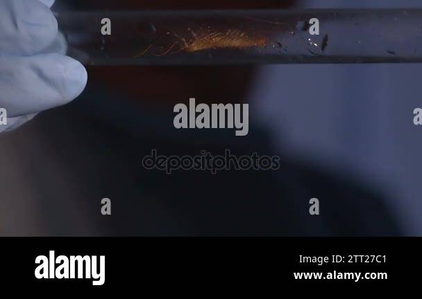 Venomous poison poisonous Stock Videos & Footage - HD and 4K Video ...