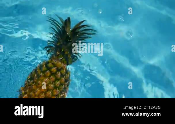 Pineapple Floating In blue Water In Swimming Pool. Healthy Raw Organic ...