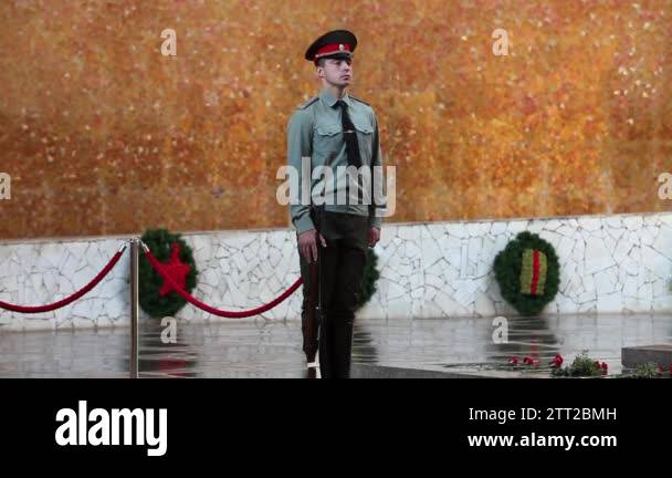 Army sentry guard Stock Videos & Footage - HD and 4K Video Clips - Alamy