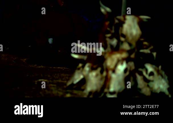 Tribal ghost Stock Videos & Footage - HD and 4K Video Clips - Alamy